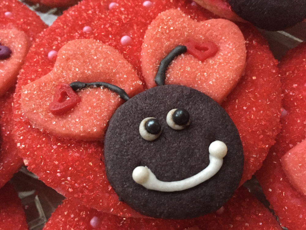 Lady Bug Cookie | Birthday Party Cookies | Shower & Wedding Cookie ...